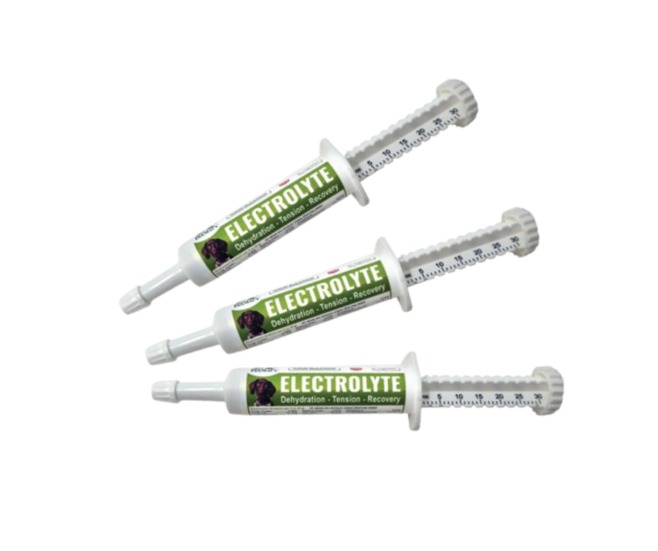 DogZymes Electrolyte Paste – Copper Hollow Enterprises Inc