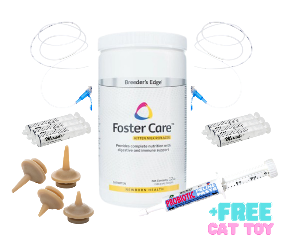 Purr-fect Start Kitten Kit – Copper Hollow Enterprises Inc
